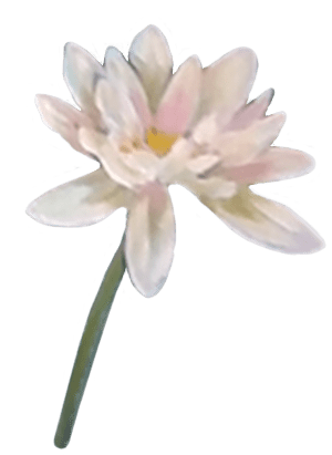 Maria Larson - Local N Idaho Artist Specializing in Custom Artwork